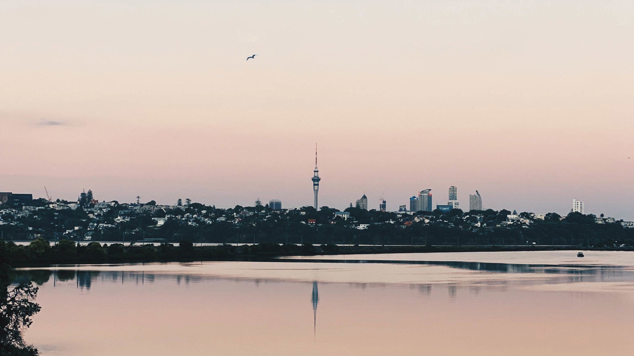 Auckland – Pressio USA